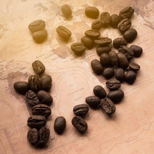 What is Robusta? Everything about Robusta Coffee Beans - Latigo Coffee
